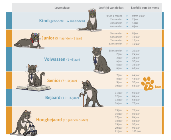 De Leeftijd van Katten › allesoverkattenrassen.nl